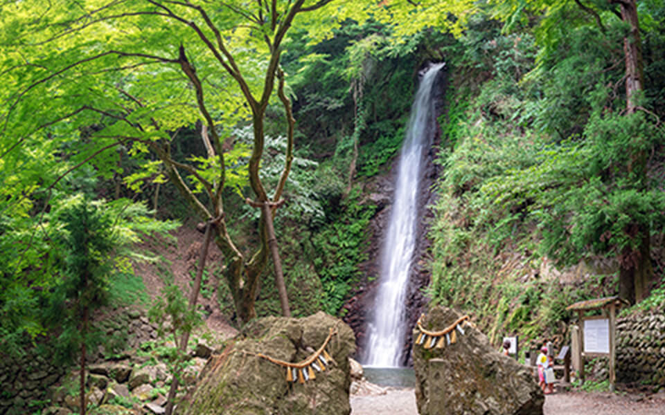 Our Hospitality and Surrounding Sightseeing｜"Yusen no Sato" Gifu Yoro Onsen