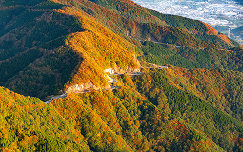 Our Hospitality and Surrounding Sightseeing｜"Yusen no Sato" Gifu Yoro Onsen